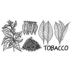 Home Roll - Kiosken Rødbyhavn